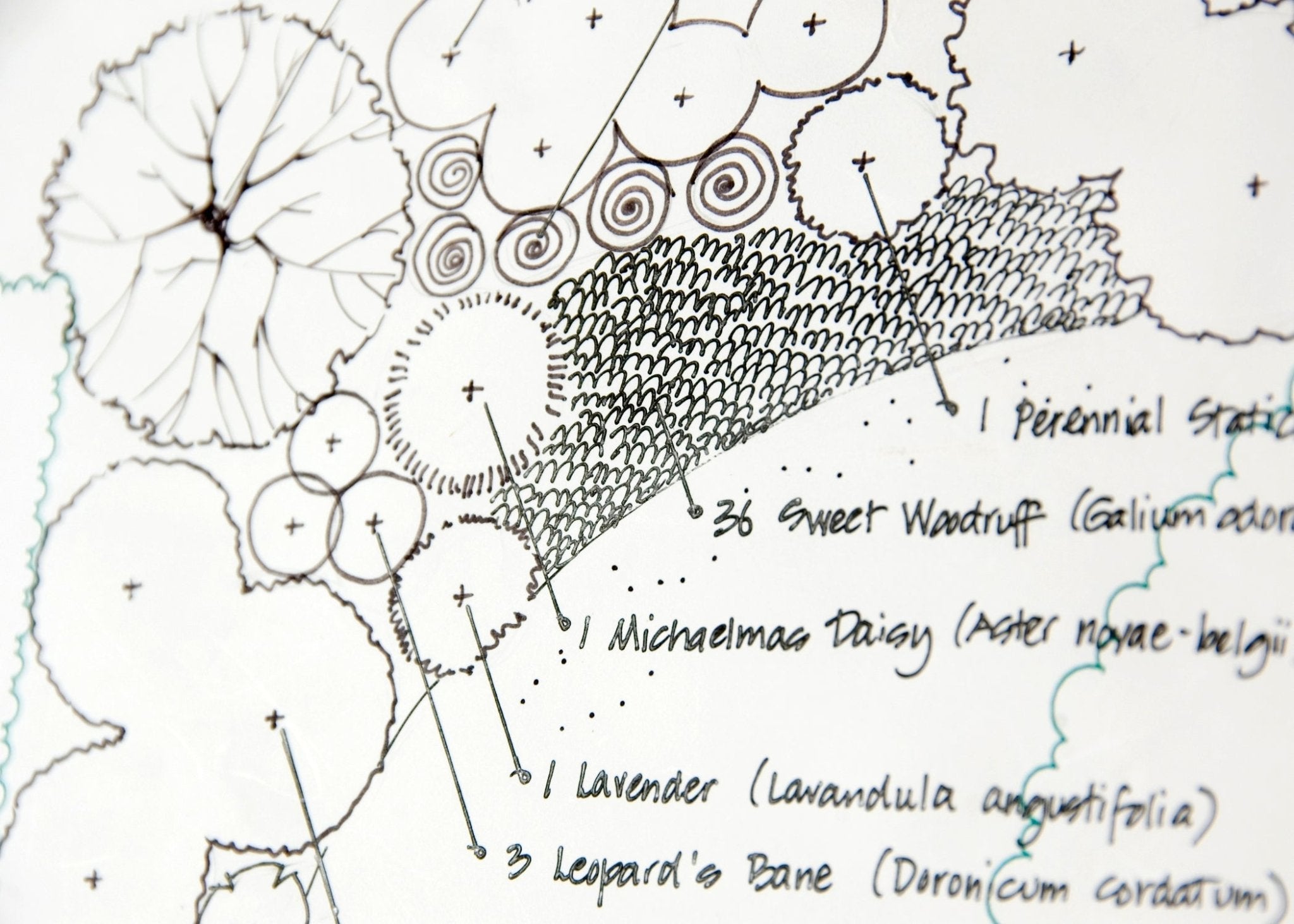 Landscape Design – Georgina Garden Centre